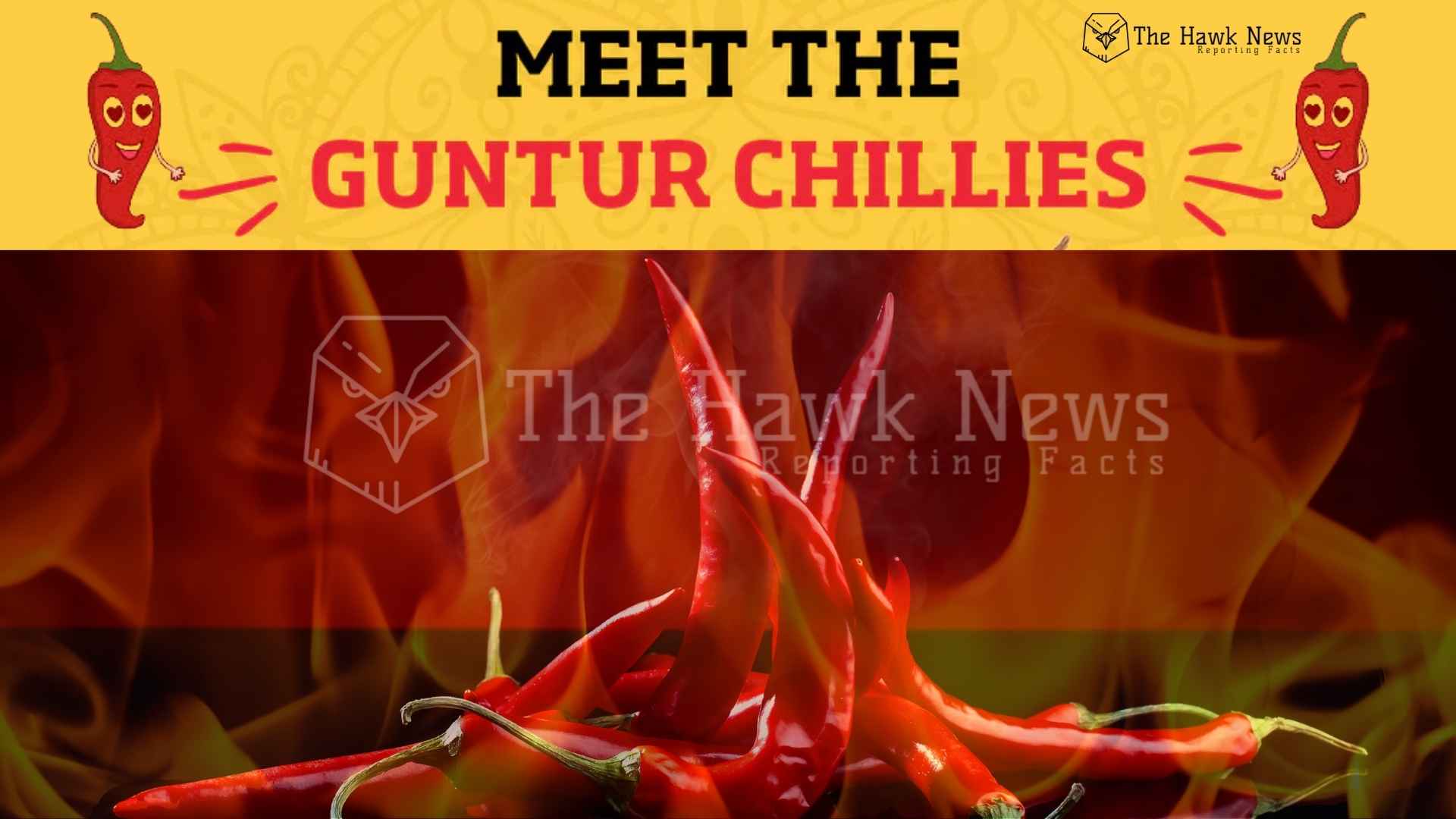 Guntur Chilli: The Fiery Jewel of Andhra Pradesh – The Hawk News
