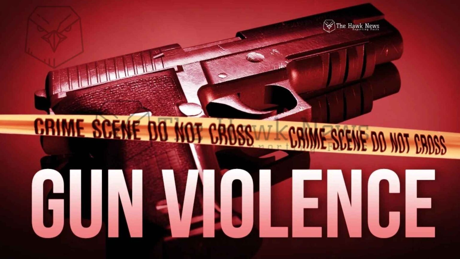 Why America Can’t Escape Gun Violence: A Deep Dive into the 2025 ...