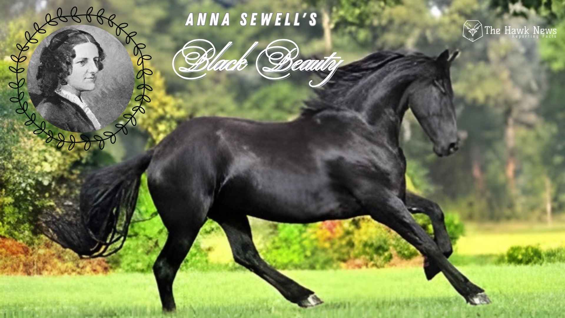 Black Beauty: The Book That Held a Mirror to Human Cruelty – The Hawk News